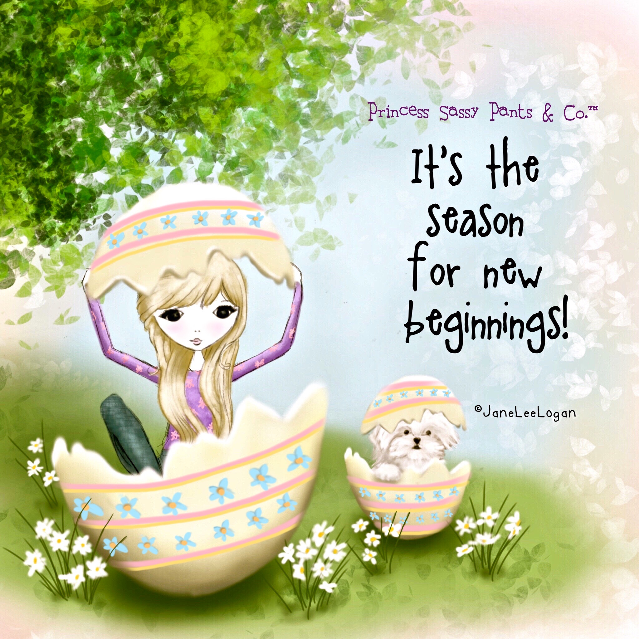 New beginnings… | Princess Sassy Pants & Co.™
